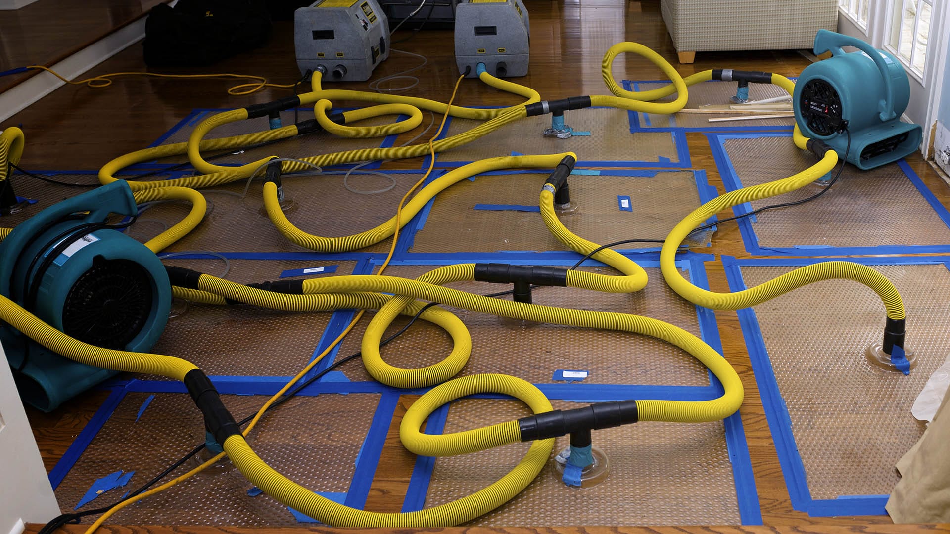 Building Drying Specialist Near You, Get Connected with Spetz